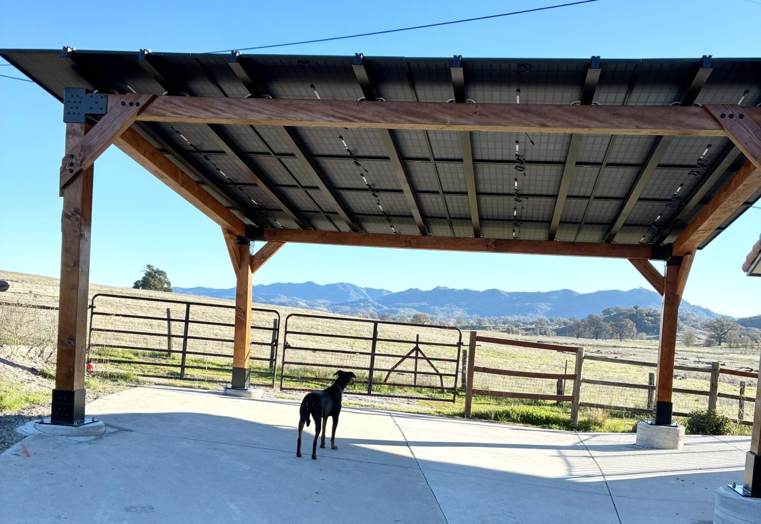 DIY Solar Carports: A Practical Guide for Homeowners - Brooklyn Solar ...